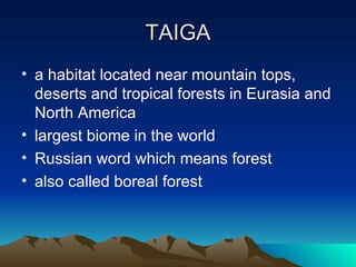 Taiga | PPT