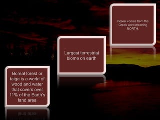 Taiga | PPTX