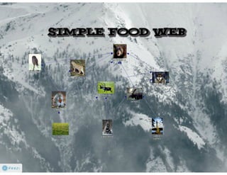 Taiga: The Boreal Forest Biome | PDF