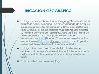 La taiga, características del bioma terrestre | PPTX