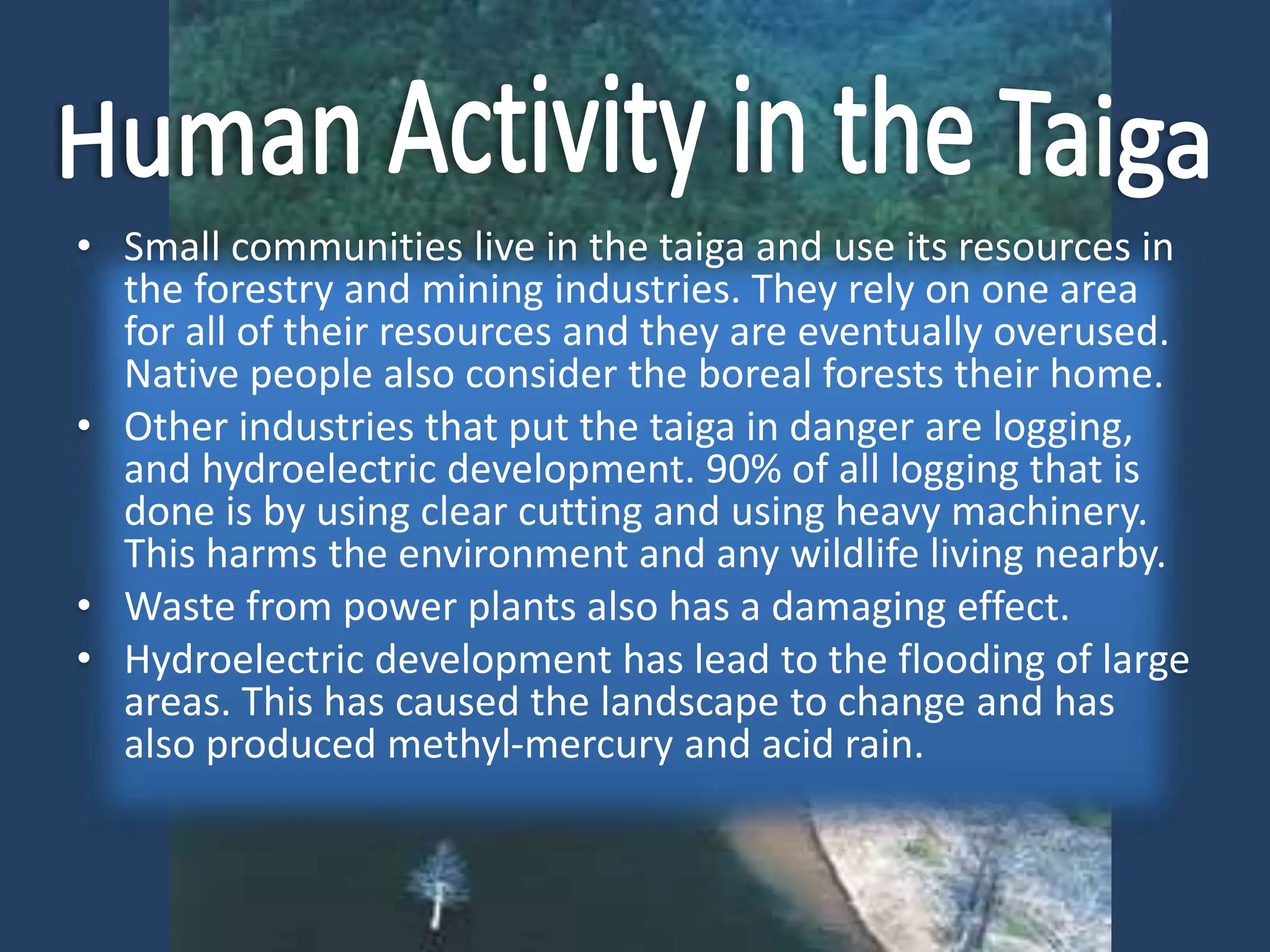 Taiga biome precentacion power point education | PPTX