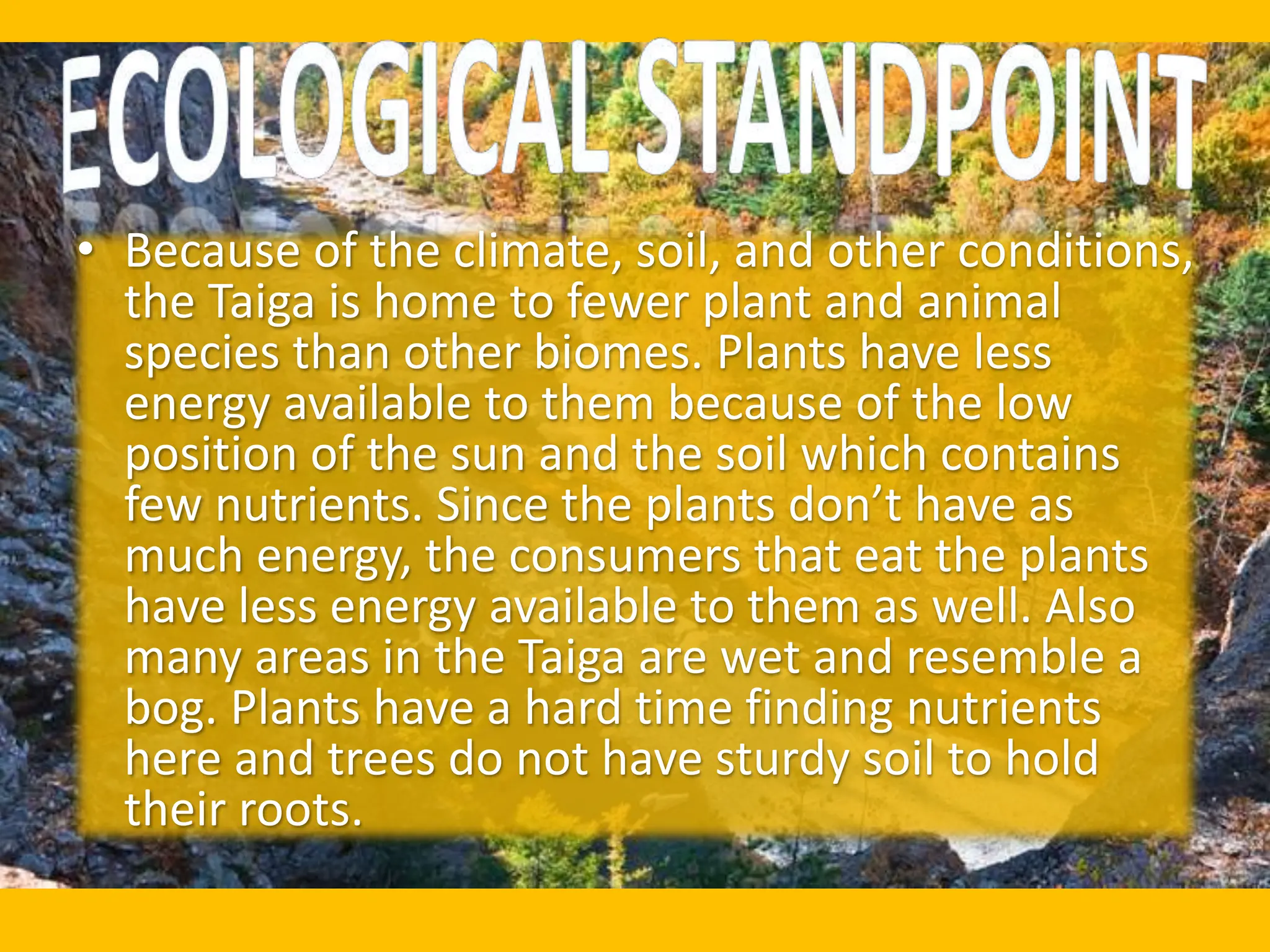 Taiga biome precentacion power point education | PPTX