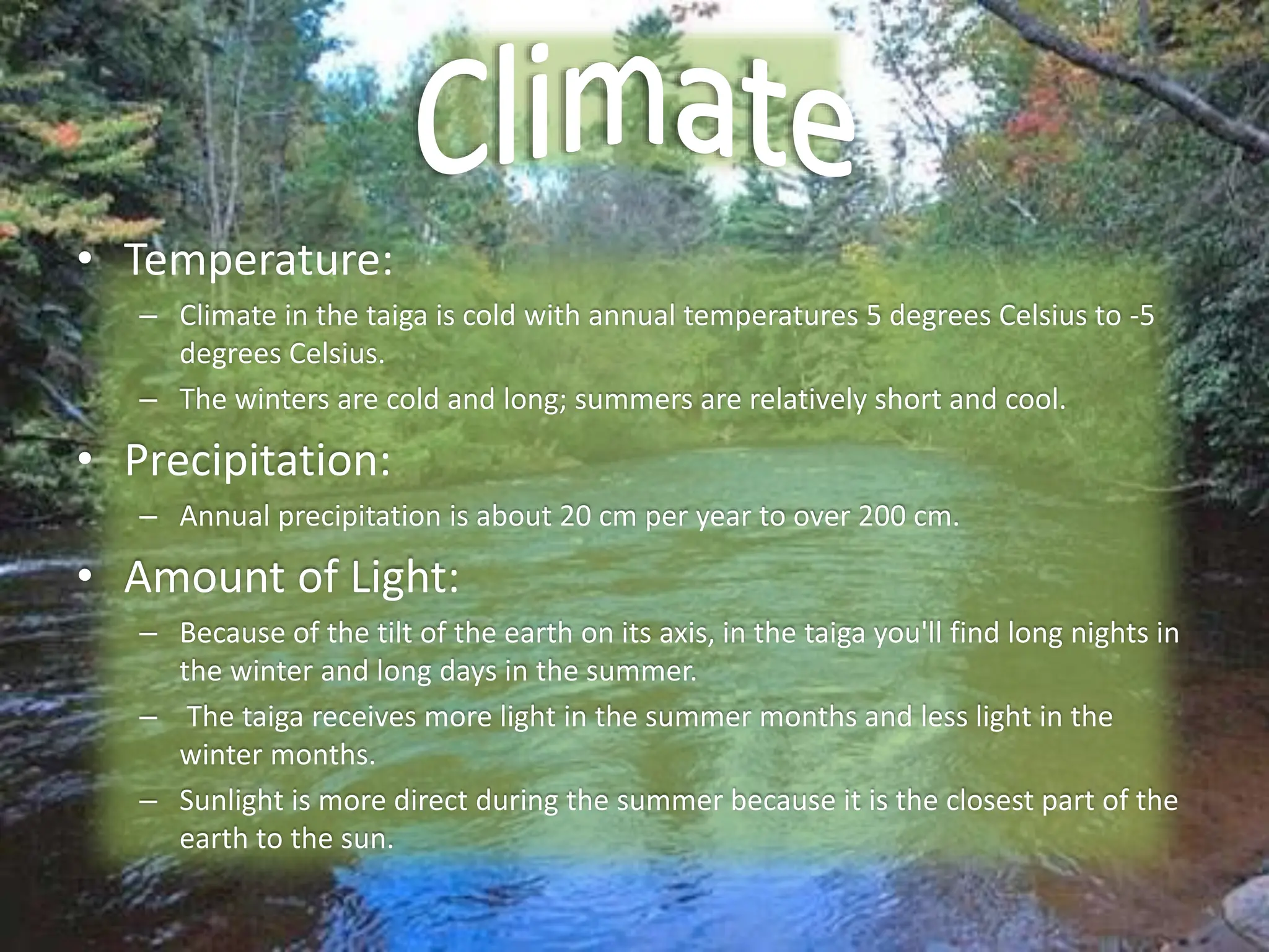 Taiga biome precentacion power point education | PPTX