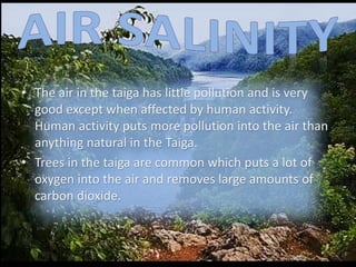 Taiga biome precentacion power point education | PPTX | Gardening ...