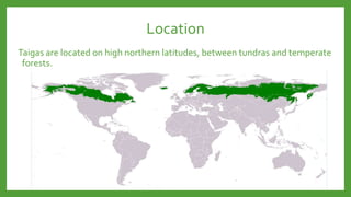 Taiga biome period 3 | PPT