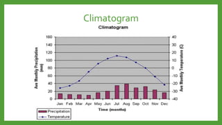 Taiga Climatogram