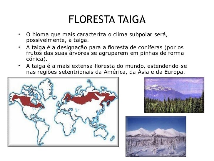 Taiga e Tundra