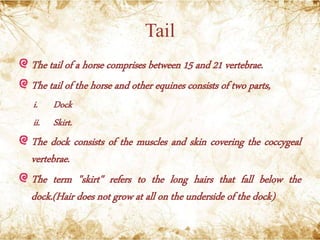 Tail docking in equines | PPTX