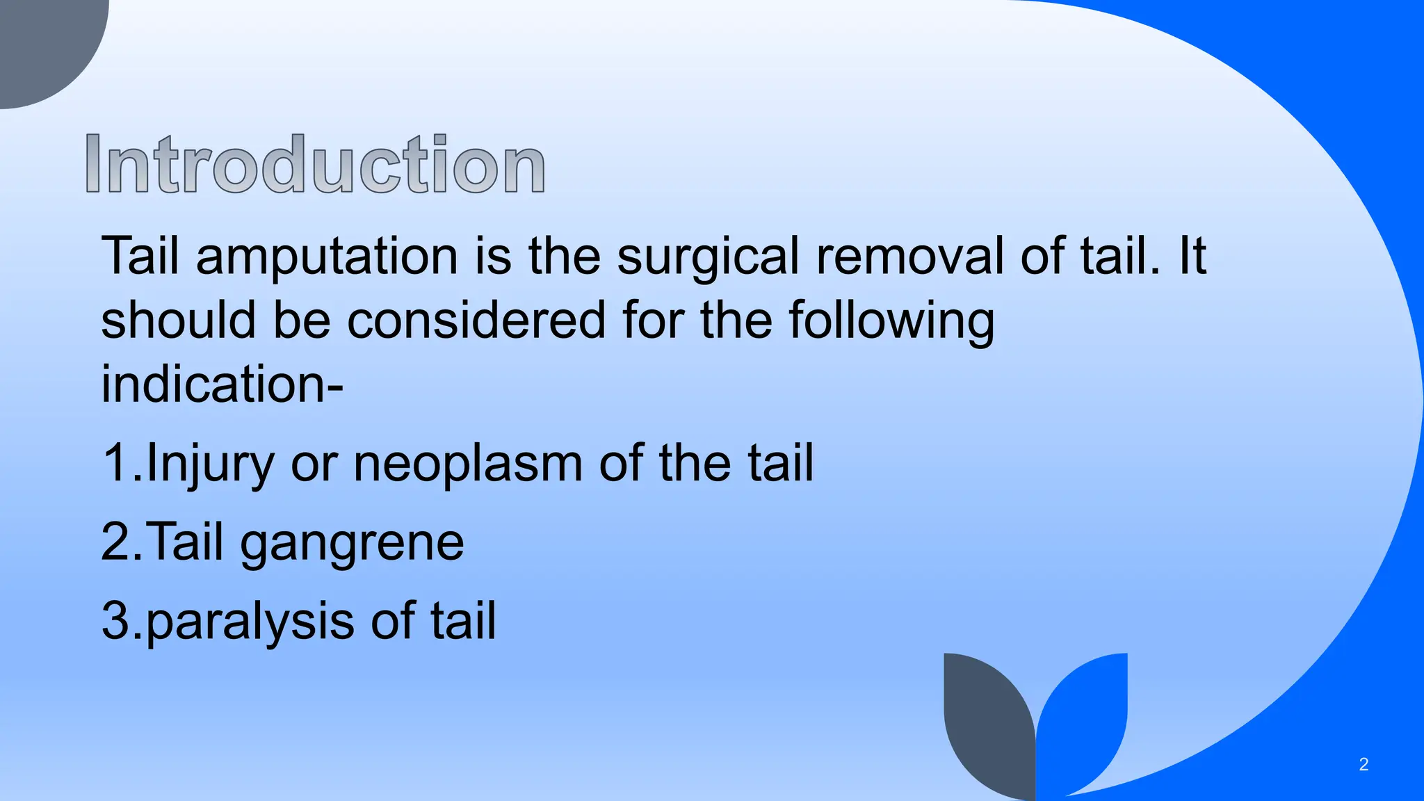 Tail Amputation.pptx