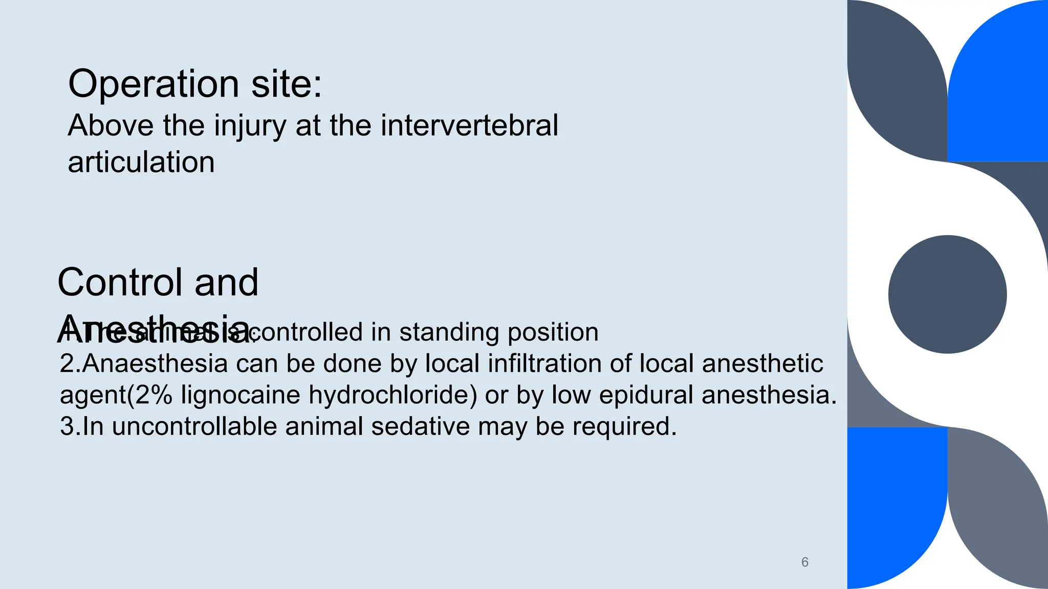 Tail Amputation.pptx