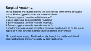 Tail Amputation.pptx