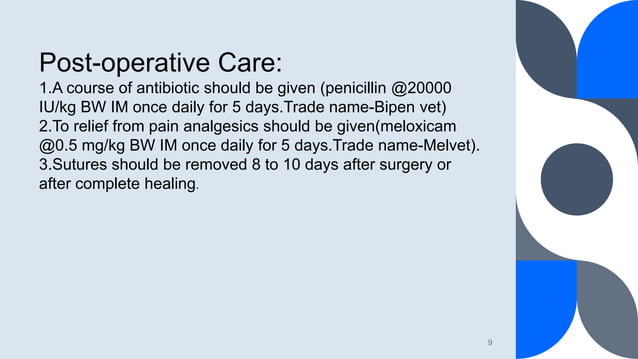 Tail Amputation.pptx