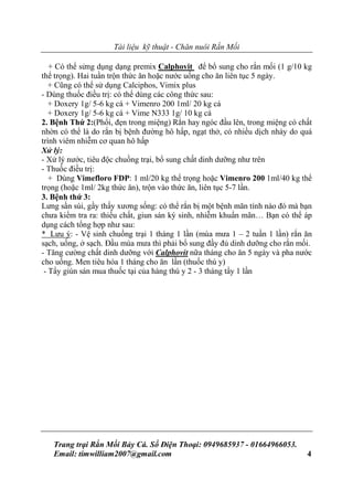 Chan nuoi ran moi | PDF