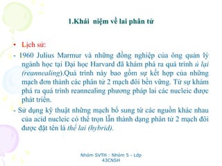 Tailieu.vncty.com lai phan-tu_2413 | PPT