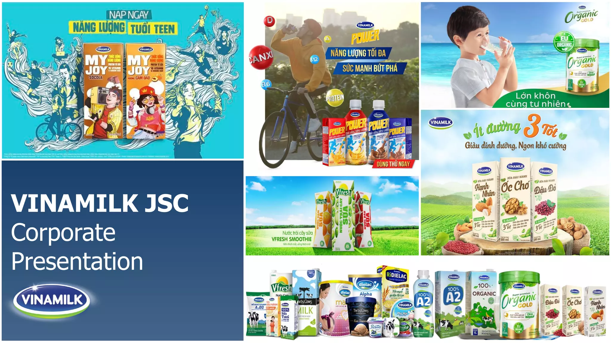 Tai_lieu_gioi_thieu_Vinamilk.pdf