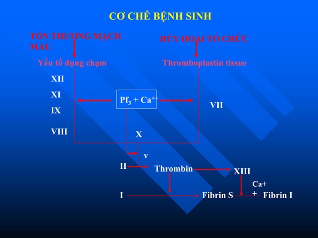 tailieuxanh_benh_dmht_bai_giang__81.ppt