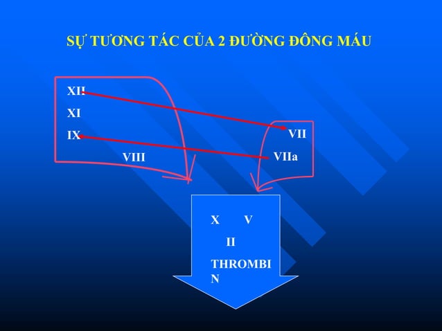 tailieuxanh_benh_dmht_bai_giang__81.ppt