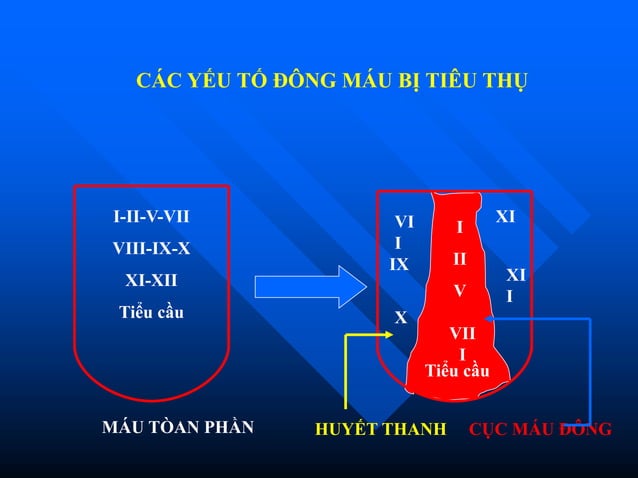 tailieuxanh_benh_dmht_bai_giang__81.ppt