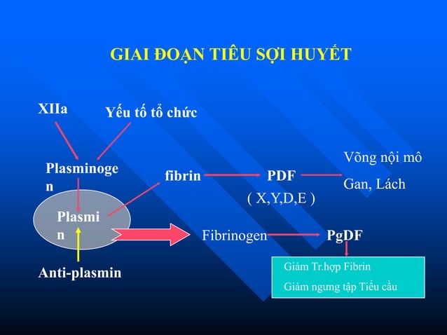 tailieuxanh_benh_dmht_bai_giang__81.ppt