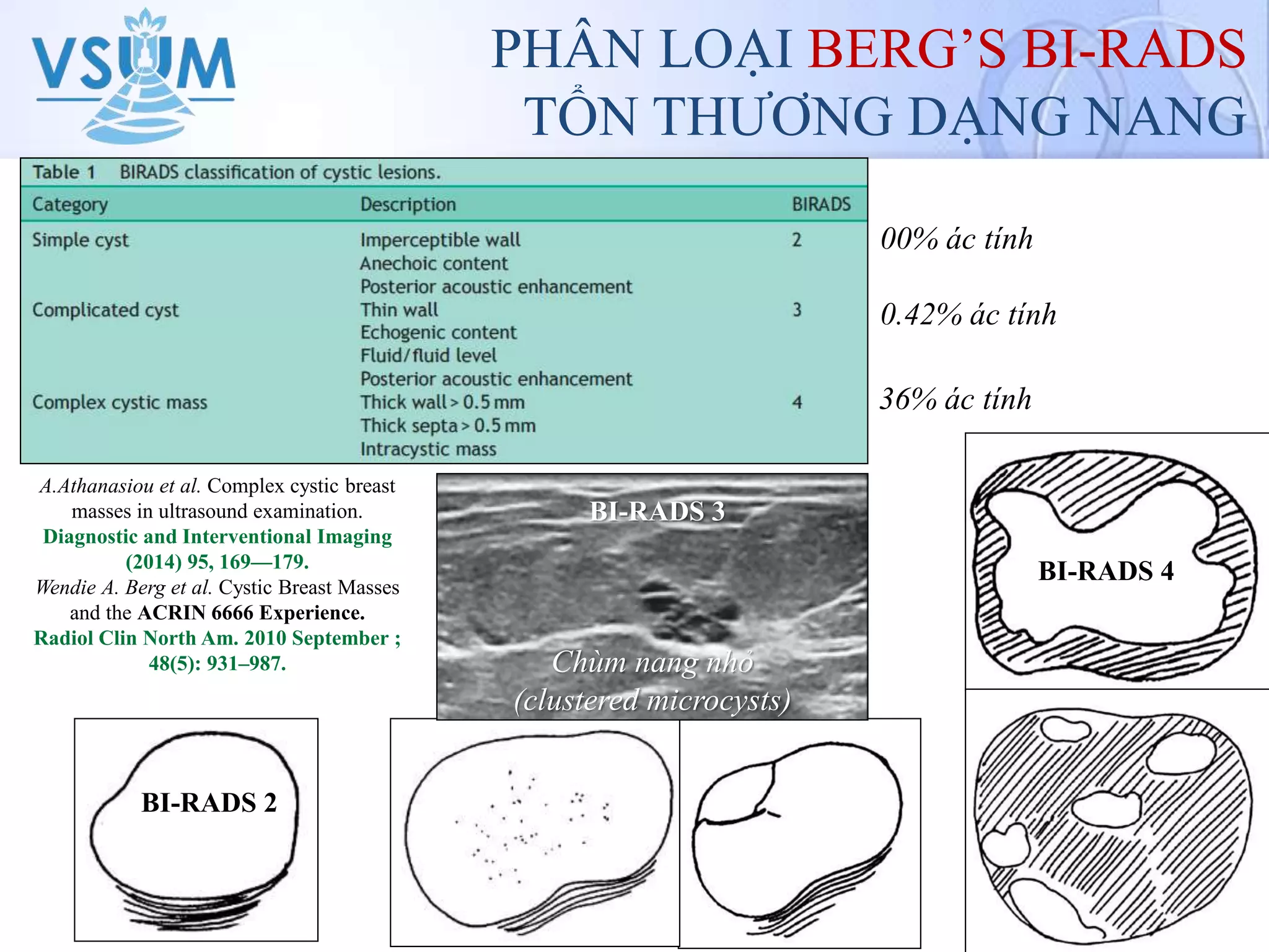 arc birads- bsi nguyen quang trong | PDF