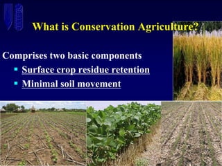 Tailoring Conservation Agriculture to small farmers | PPTX