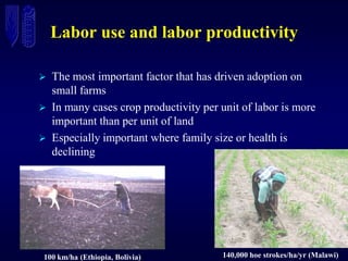 Tailoring Conservation Agriculture to small farmers | PPTX