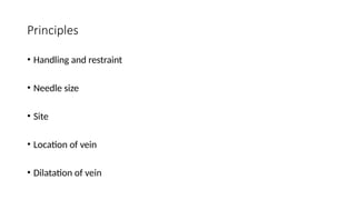 tail vein sampling.pptx clinical pharmacology | PPTX