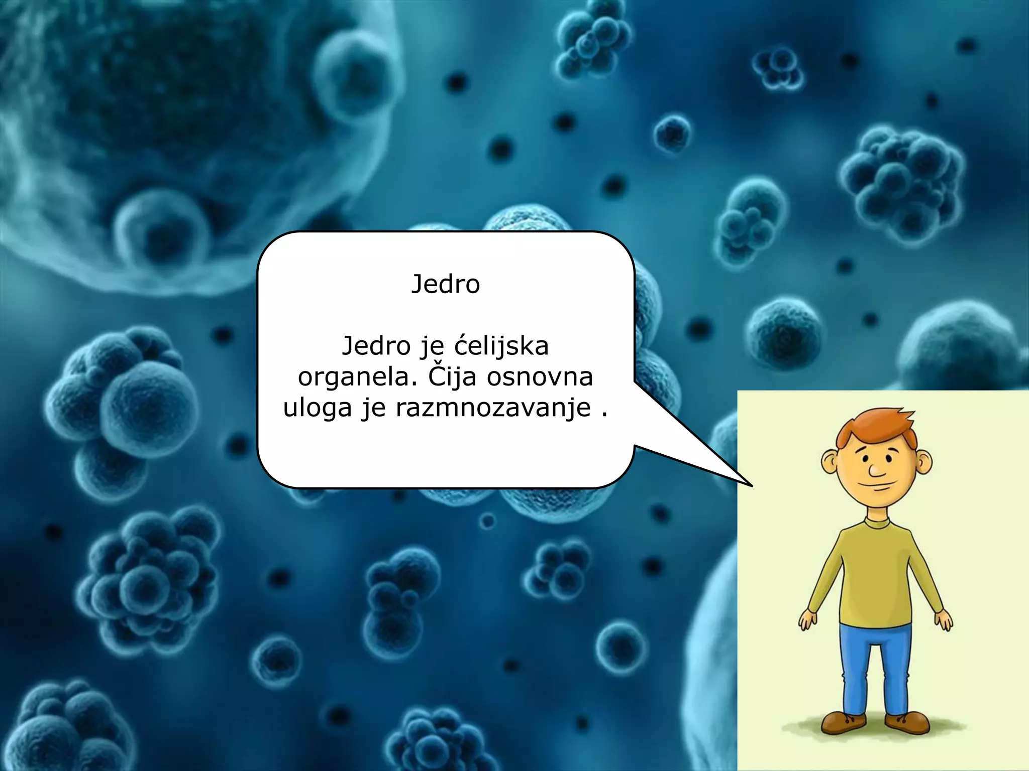 Šta ima svaka ćelija.pptx