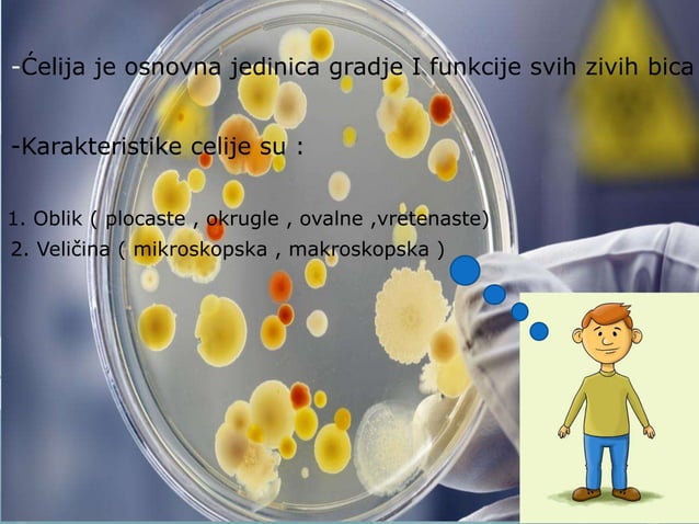 Šta ima svaka ćelija.pptx