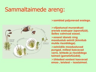 Taimede areng | PPT