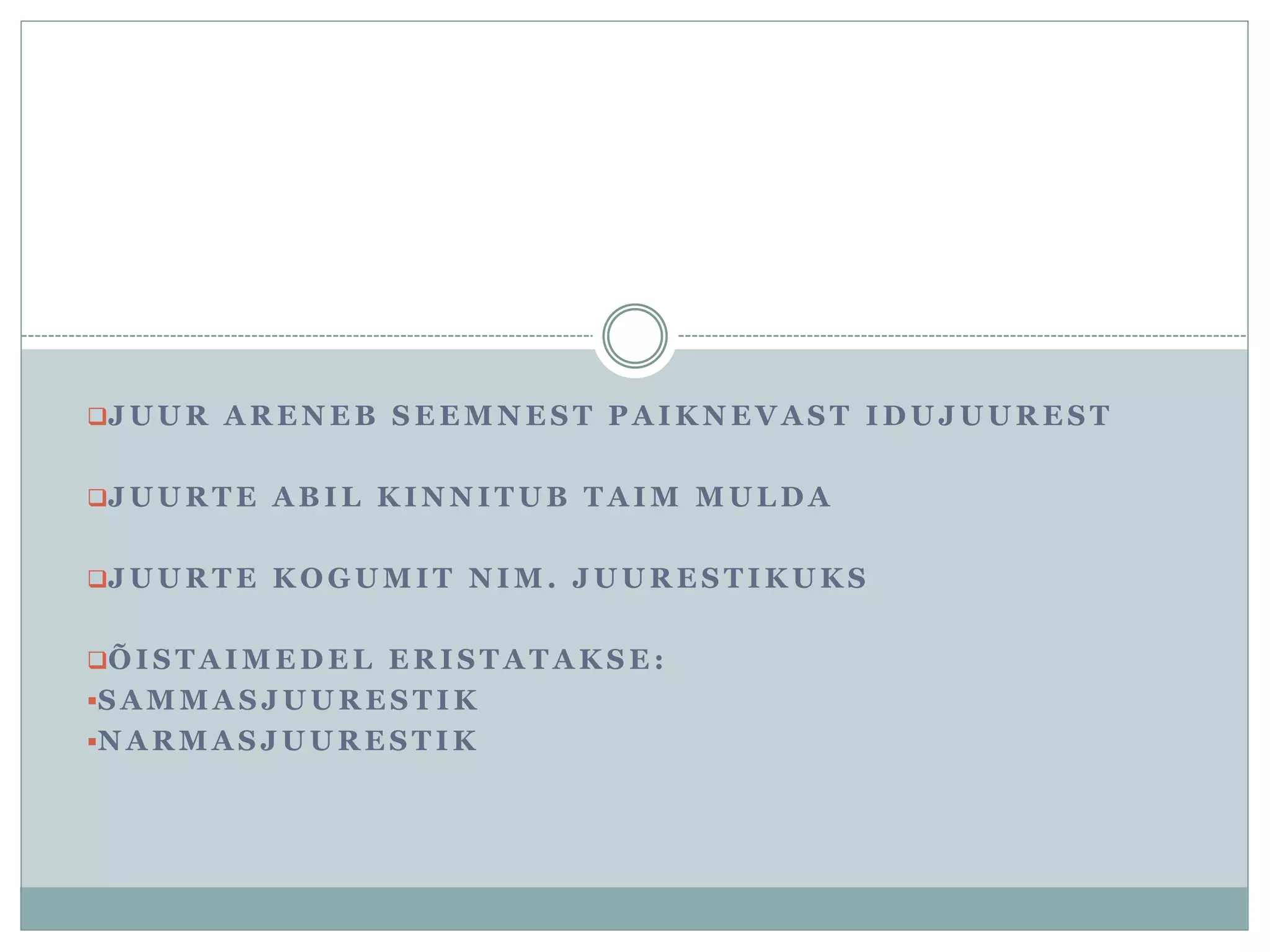 Taime juur | PPTX