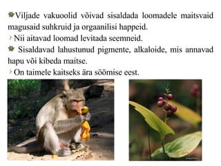 Taimerakk ja seenerakk | PPT