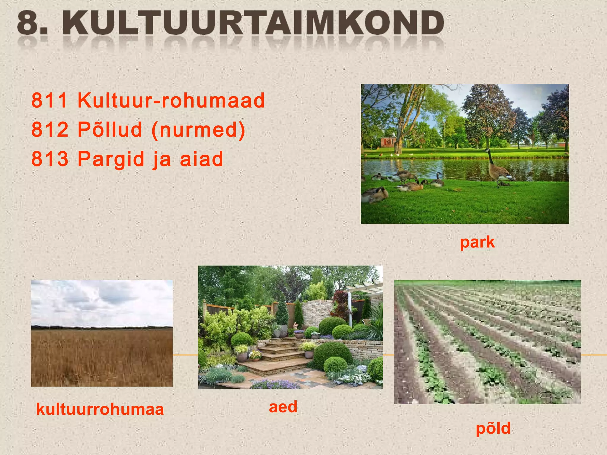 Taimkattetüübid | PPT