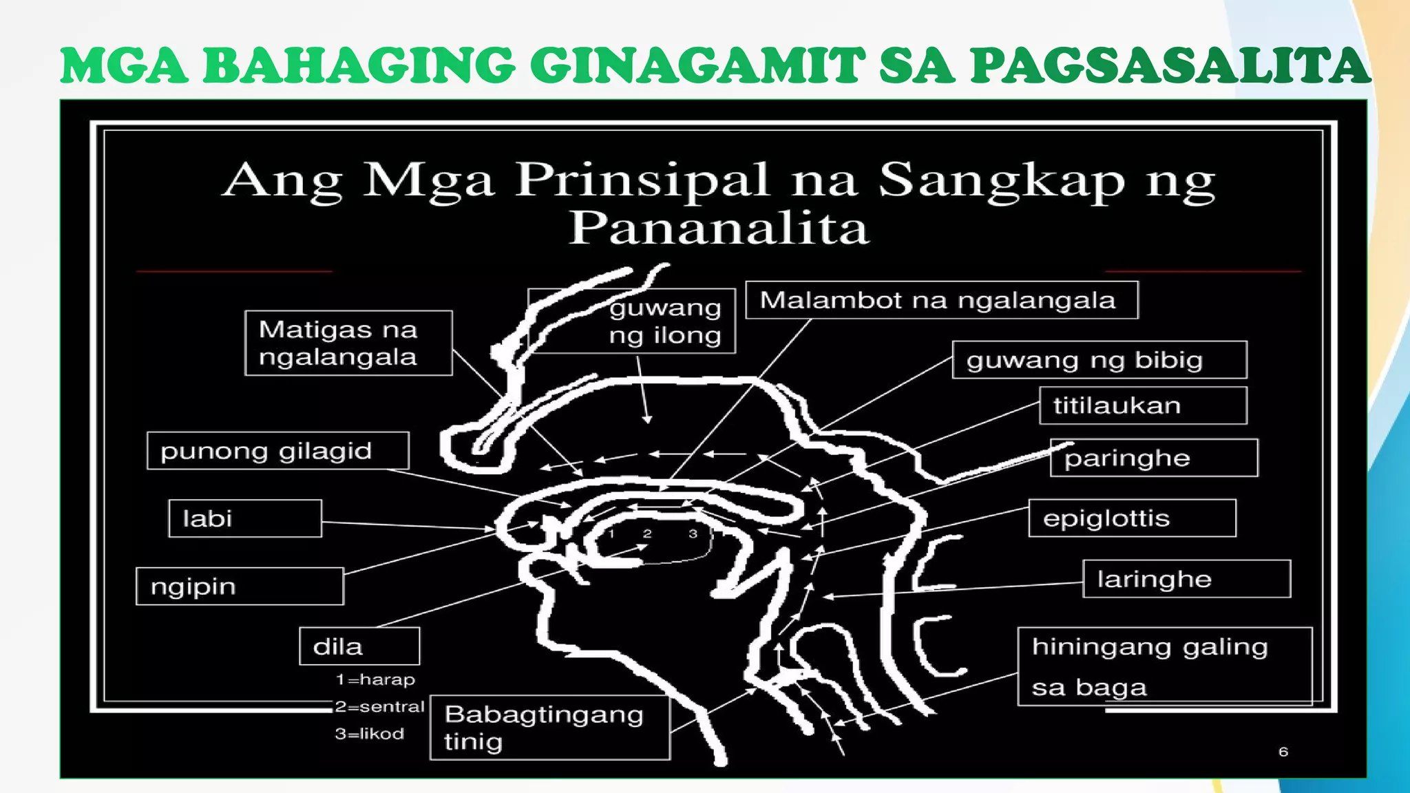 Pagsasalita at Ponolohiya | PDF