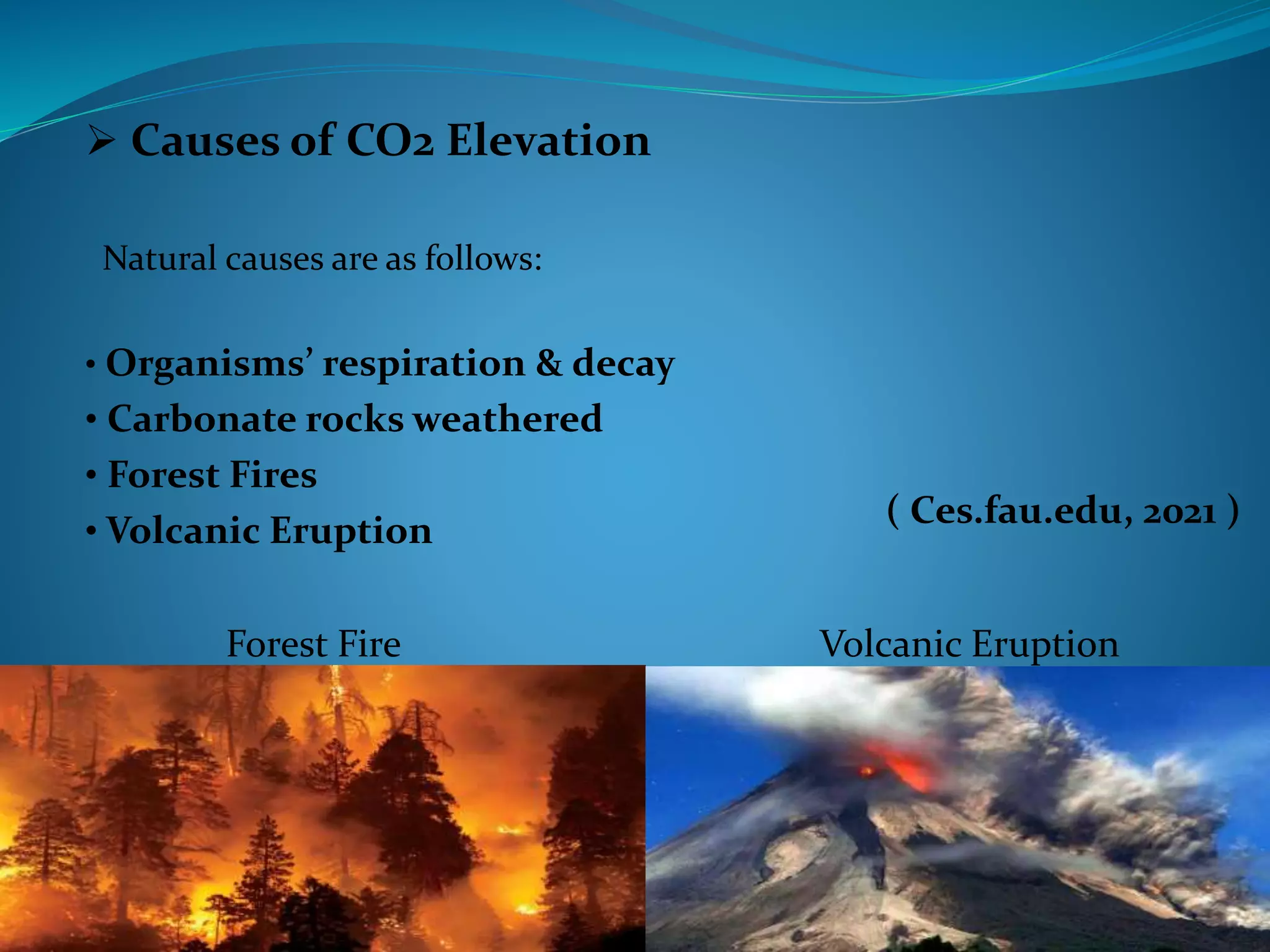 Elevated CO2 its impacts on crop production. | PPTX