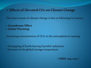 Elevated CO2 its impacts on crop production. | PPTX