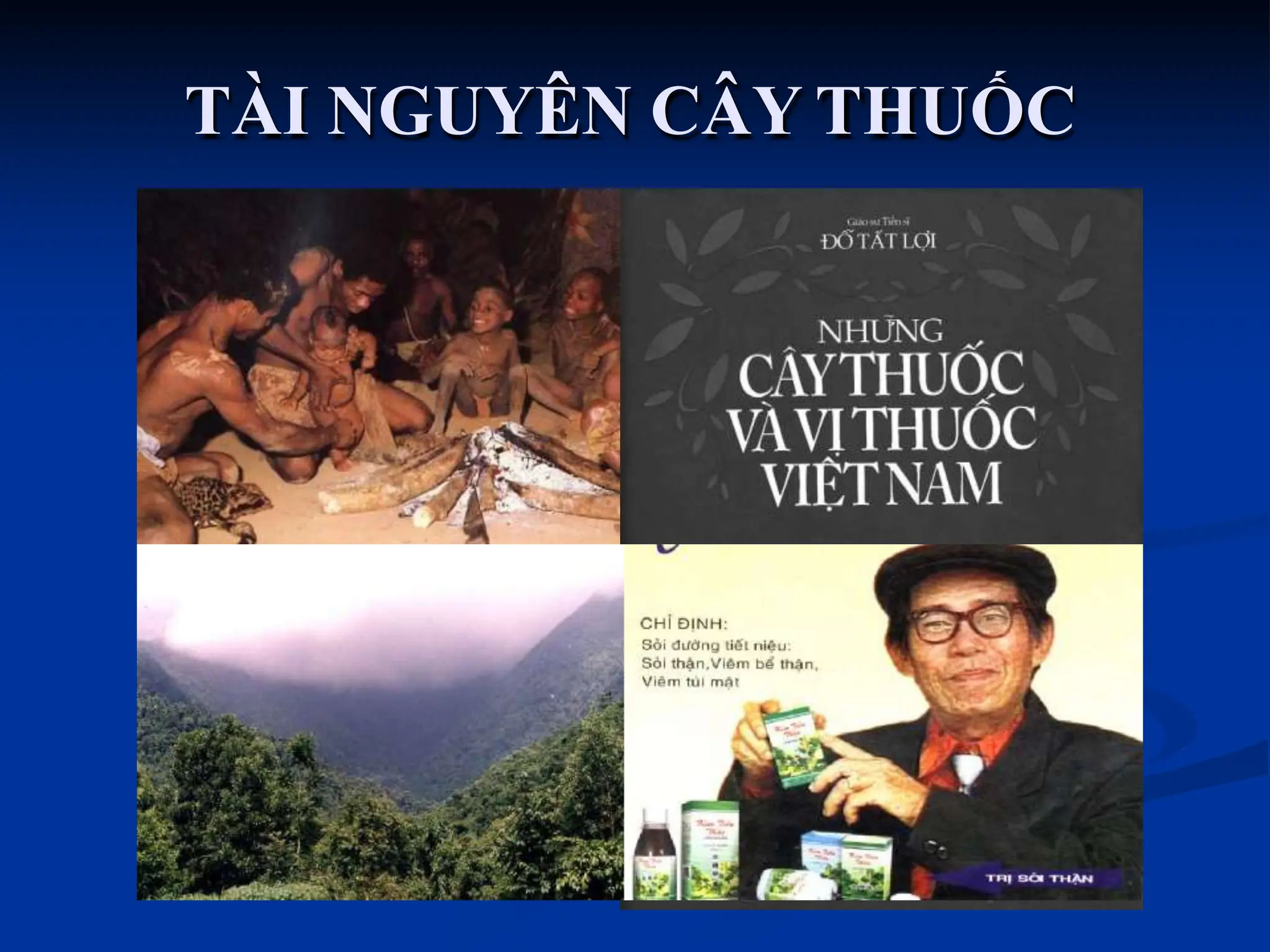 tai nguyen cay thuoc - thuc vat duoc.pptx