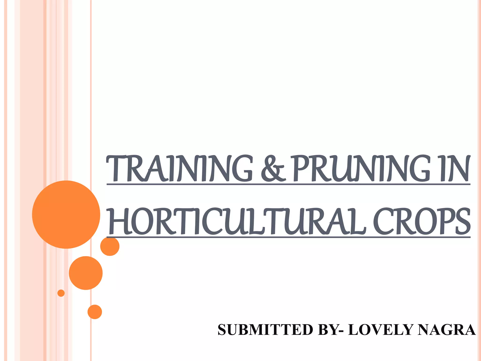 Taining and pruning in horticultural crops | PPTX