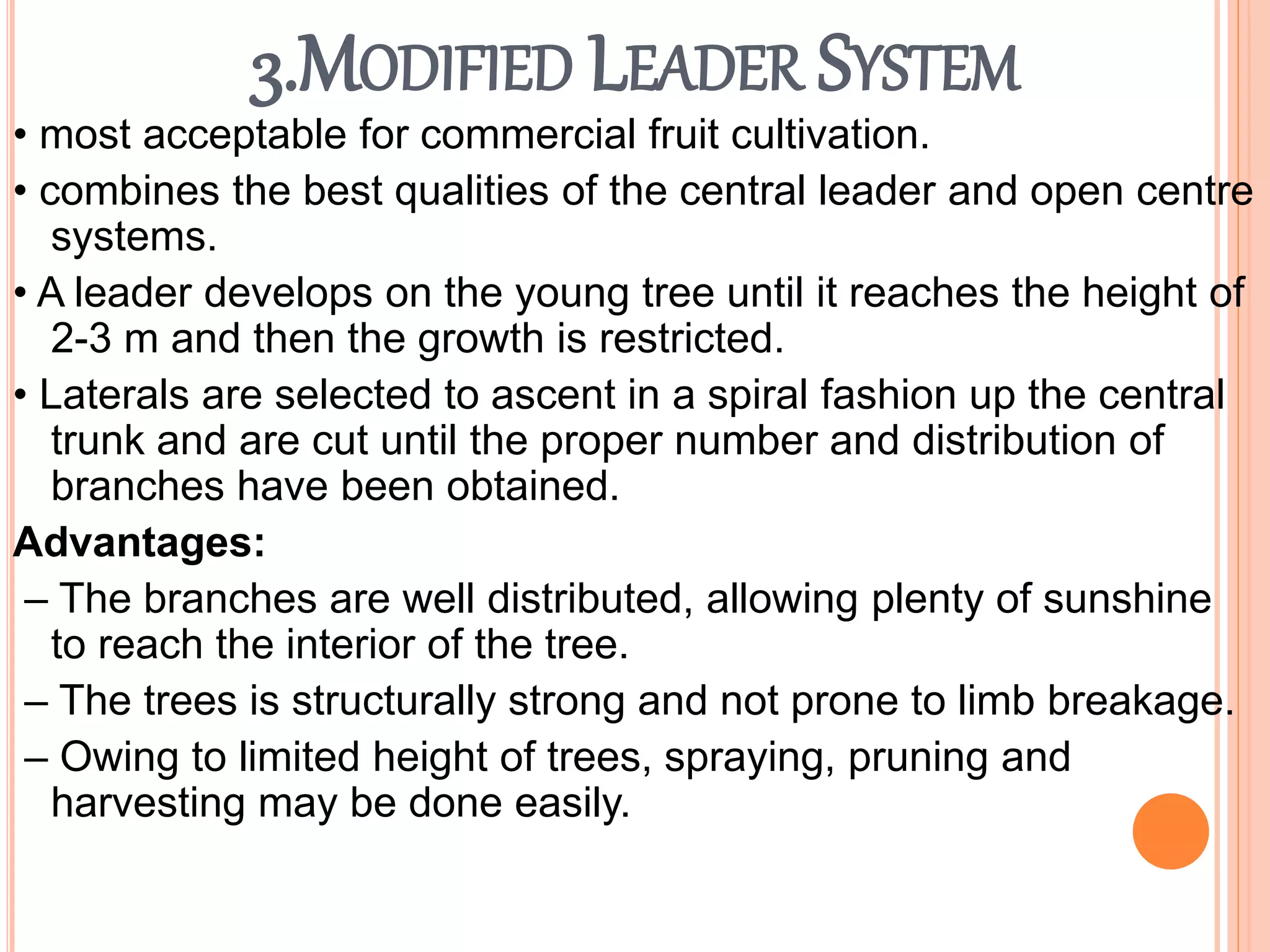 Taining and pruning in horticultural crops | PPTX