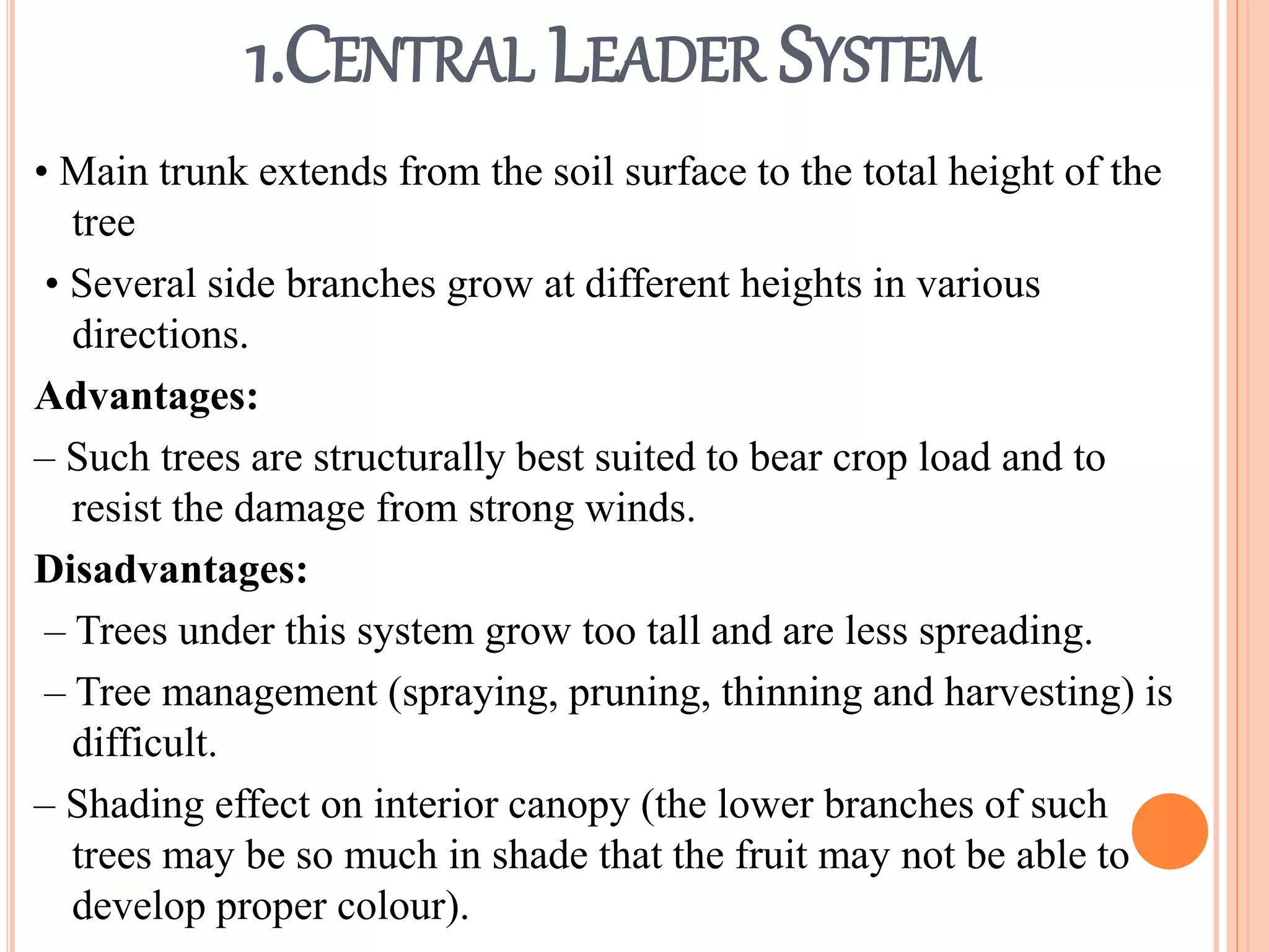 Taining and pruning in horticultural crops | PPTX