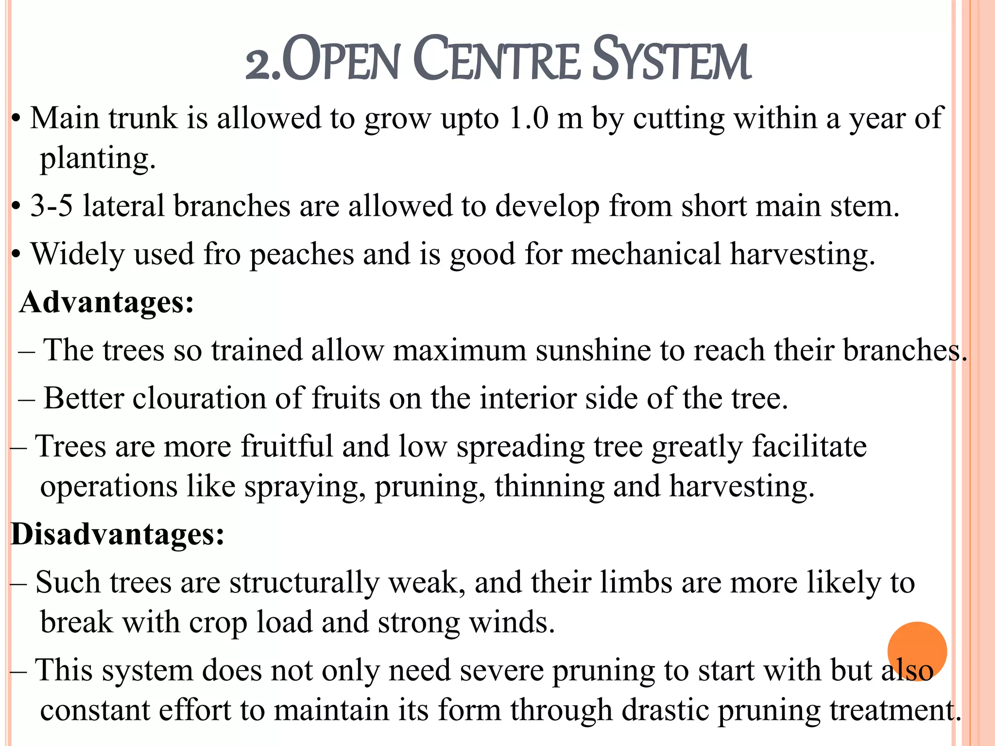 Taining and pruning in horticultural crops | PPTX