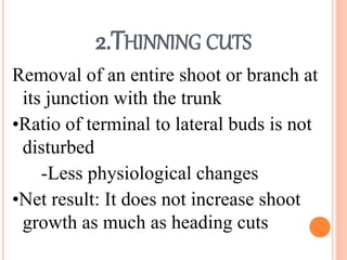 Taining and pruning in horticultural crops | PPTX