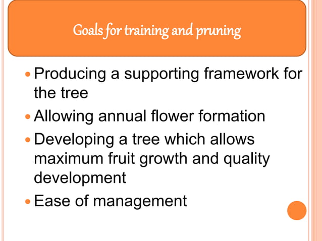 Taining and pruning in horticultural crops | PPTX