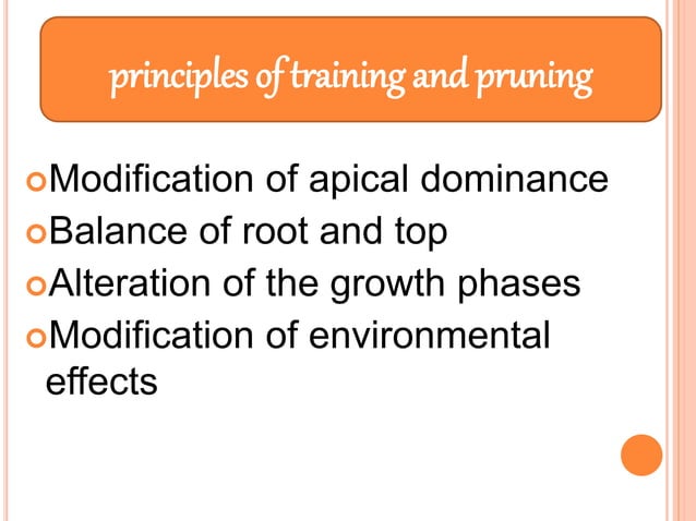Taining and pruning in horticultural crops | PPTX