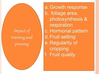 Taining and pruning in horticultural crops | PPTX