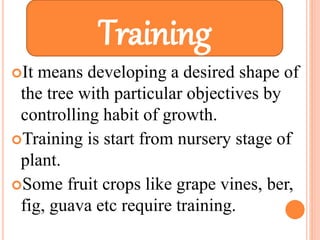 Taining and pruning in horticultural crops | PPTX