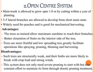 Taining and pruning in horticultural crops | PPTX
