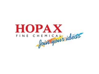 Taiwan Hopax Overview 2009 | PDF