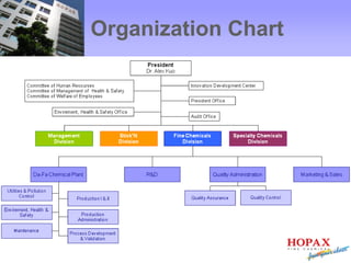 Taiwan Hopax Overview 2009 | PDF | Manufacturing Industry | Industries