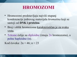 Šta je genetika | PPT